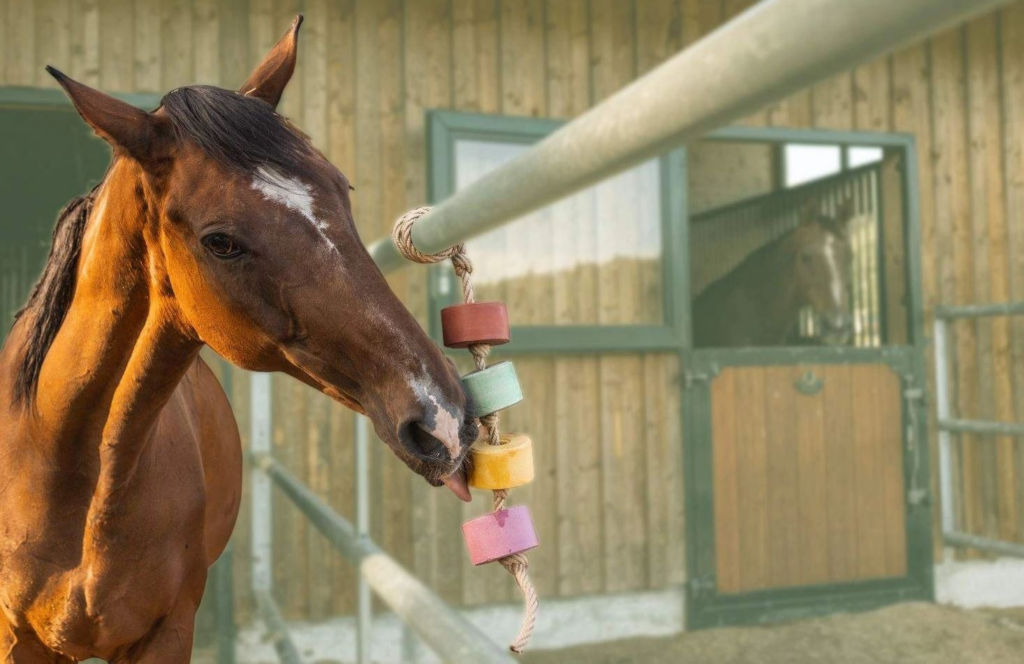 Imima Lolly-Lick Appel liksteen – Syan